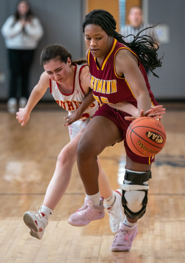 Neumann girls play hard but Lourdes ends their historic season in state ...